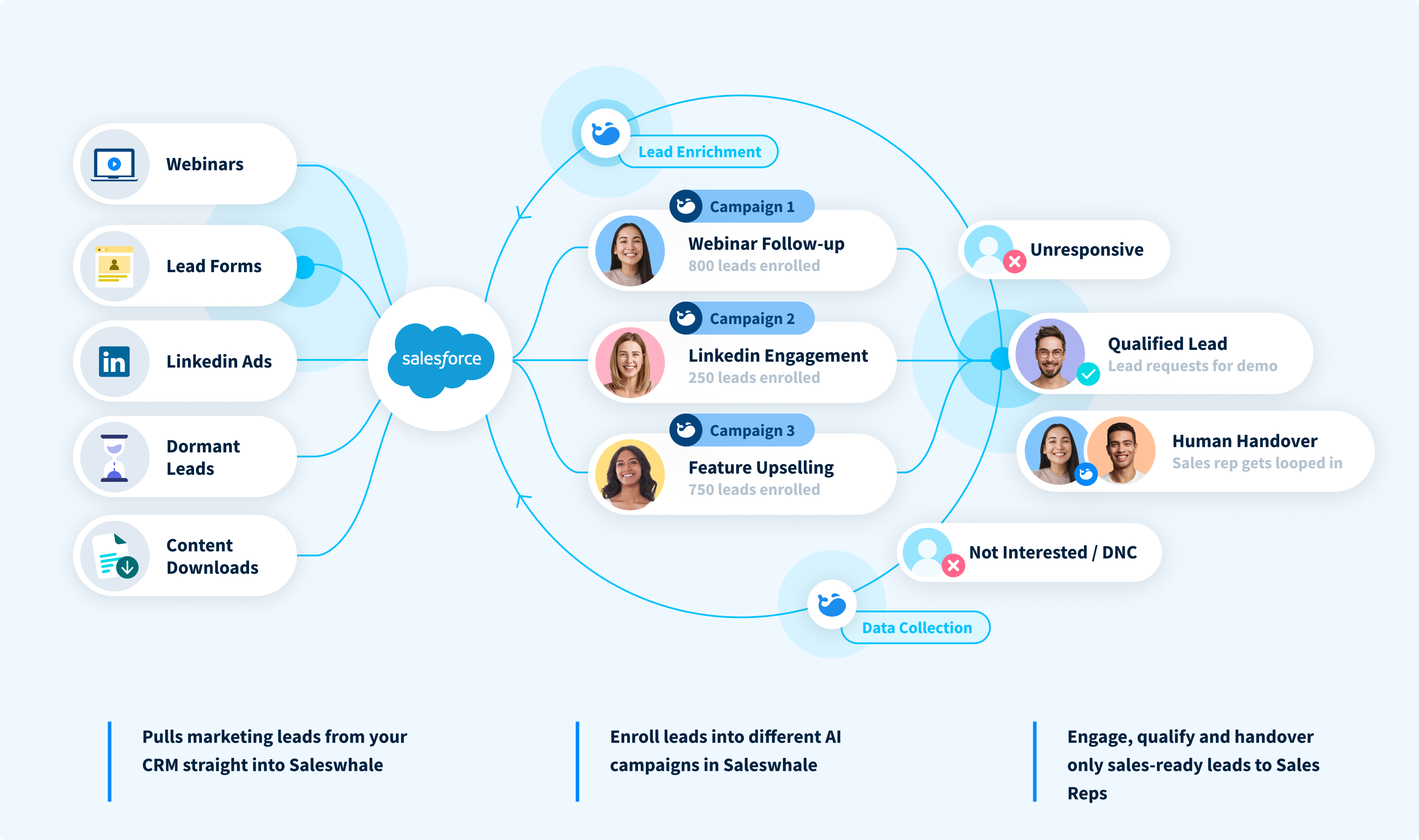 Increase Mql To Sql Conversion With Saleswhale For Salesforce